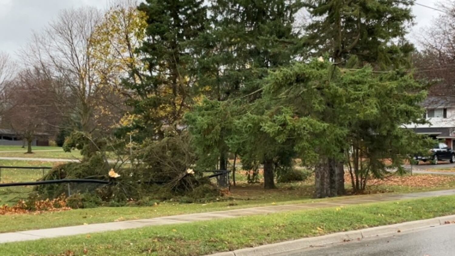 Tornado leaves path of destruction in Fergus, Ont. – CTVNews