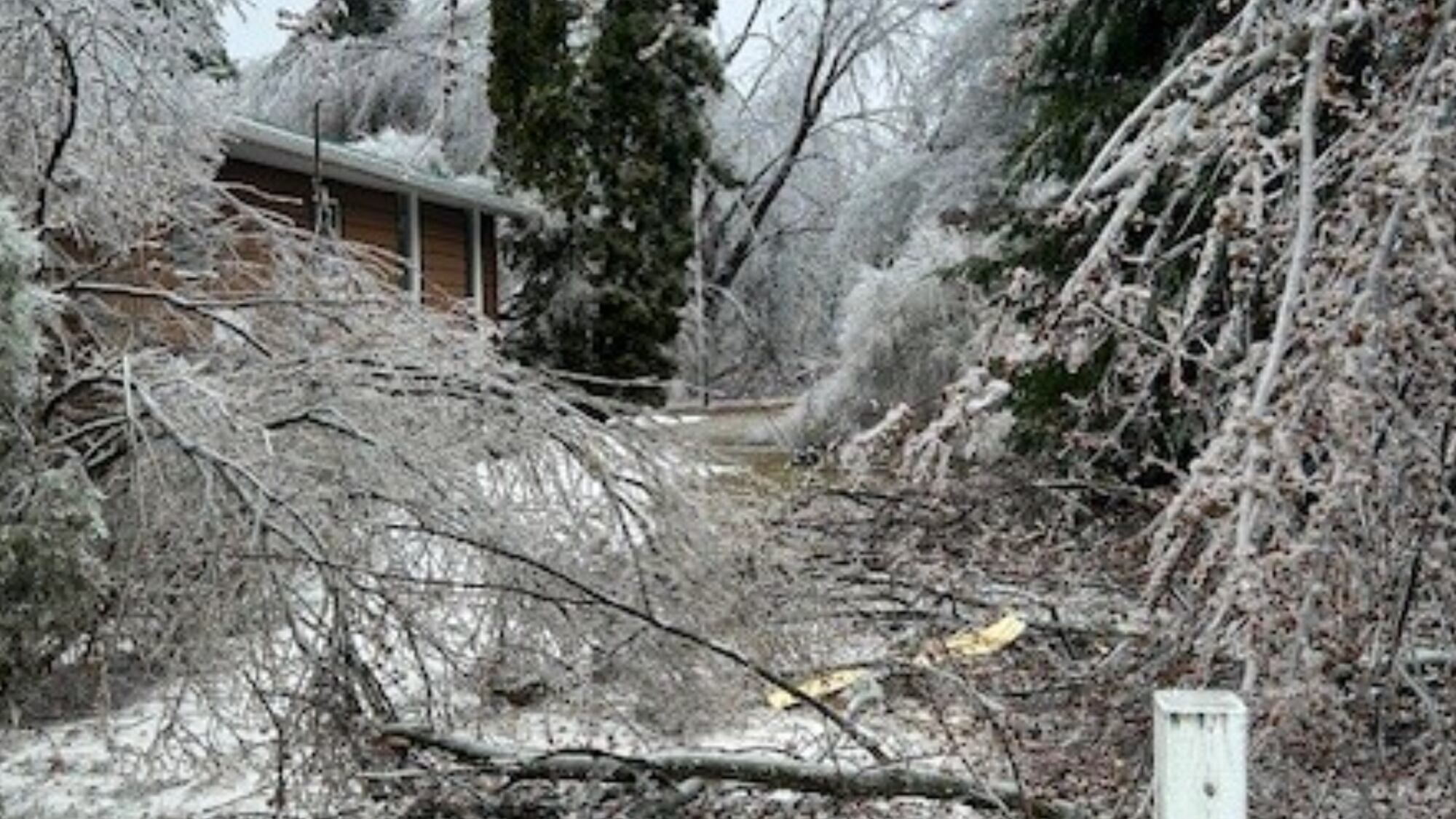 Ice storm causes widespread power outages and damage across Simcoe ...