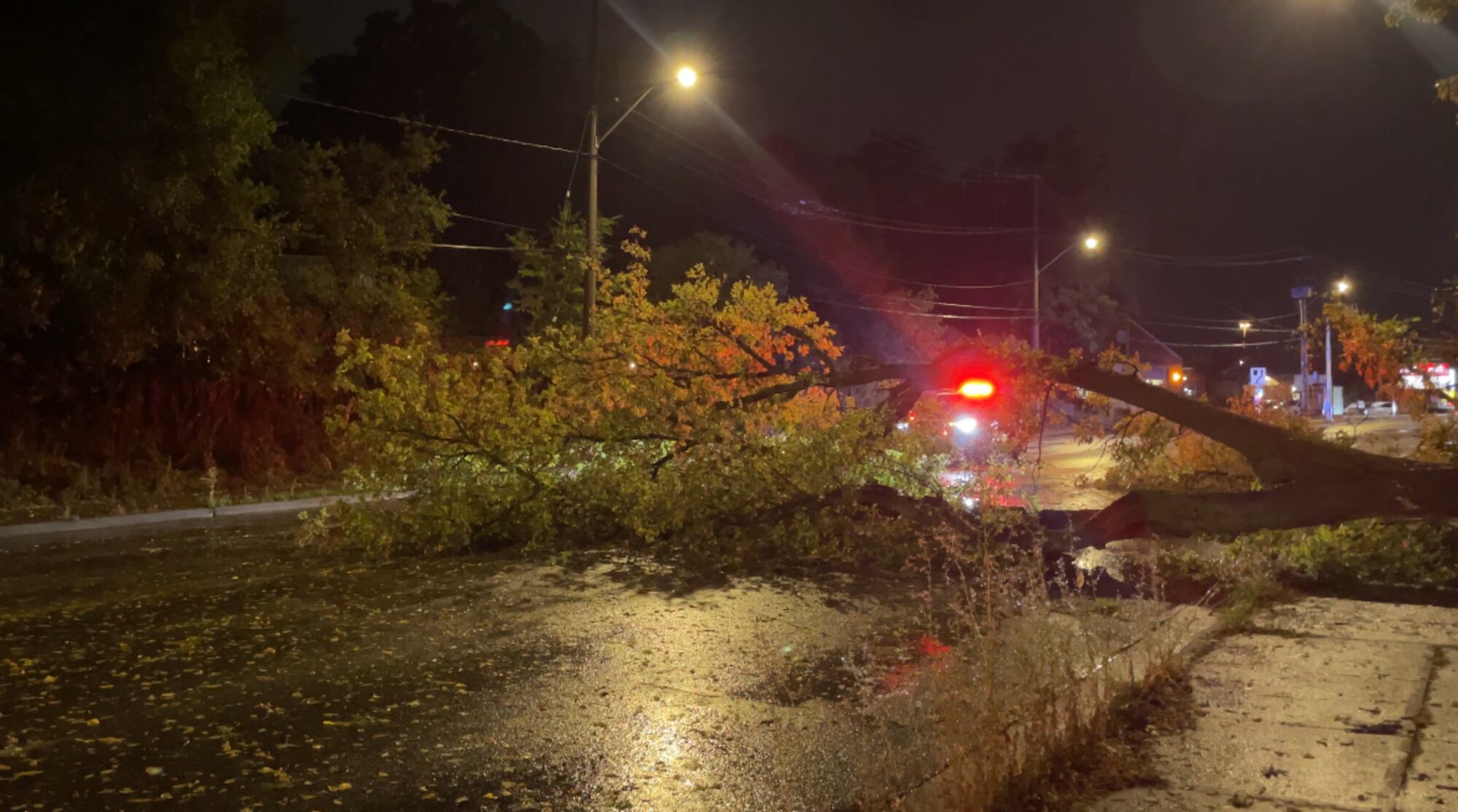 Storm hits southern Ontario on Sept. 22, 2025 – CTVNews