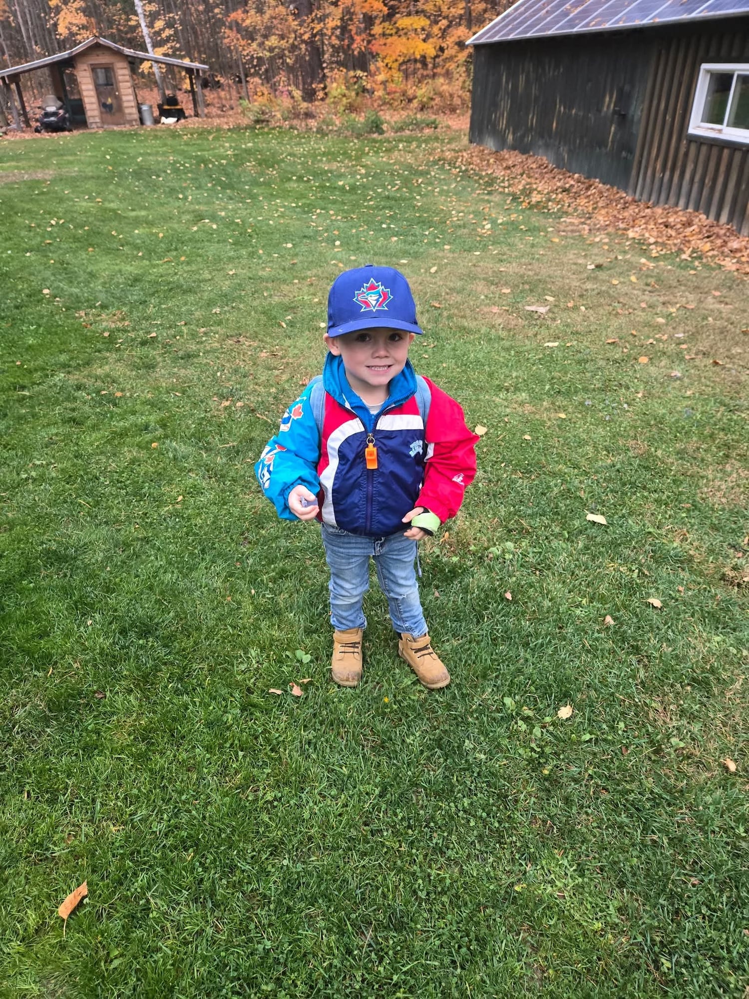 Blue Jays spirit! Show us what you've got! – CTVNews