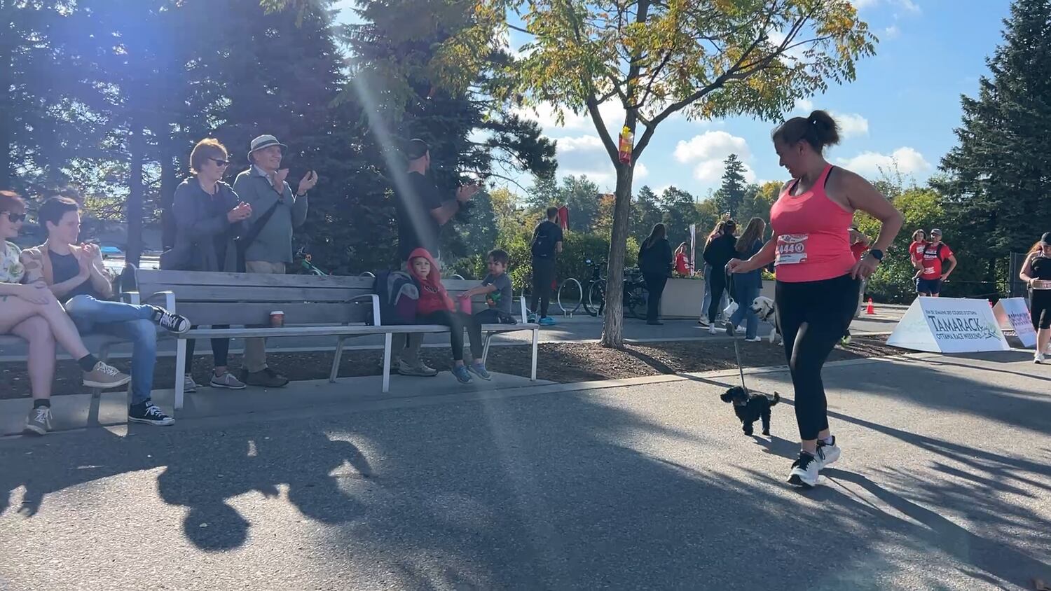 So many dogs at the Wiggle Waggle Walk and Run – CTVNews