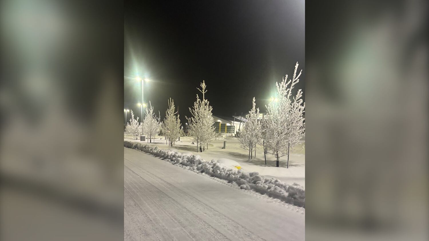 The difference between hoarfrost and rime ice – CTVNews