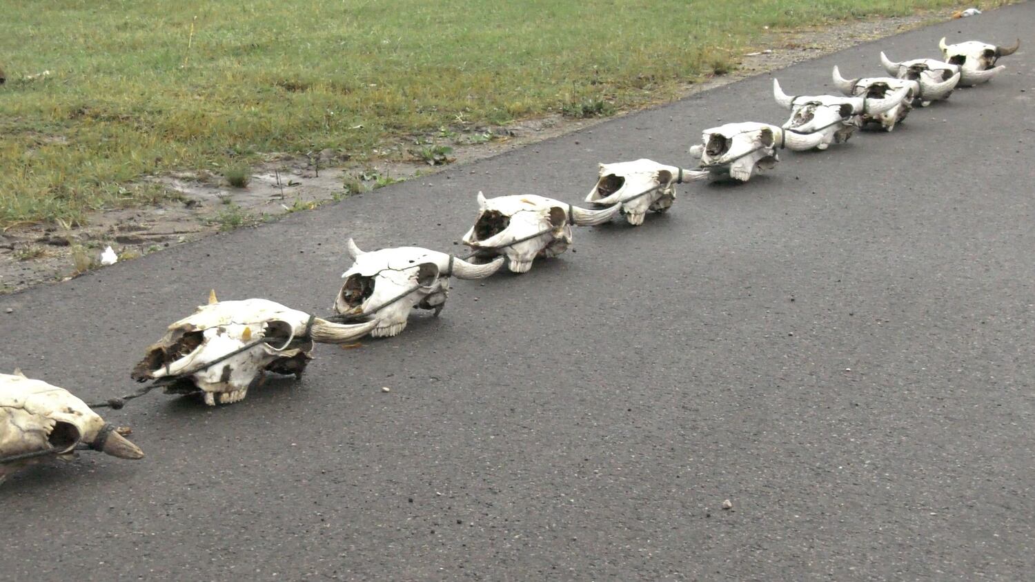 Tatanga Skull Walk – CTVNews