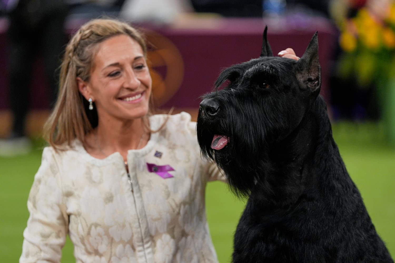 2025 Westminster Kennel Club dog show – CTVNews