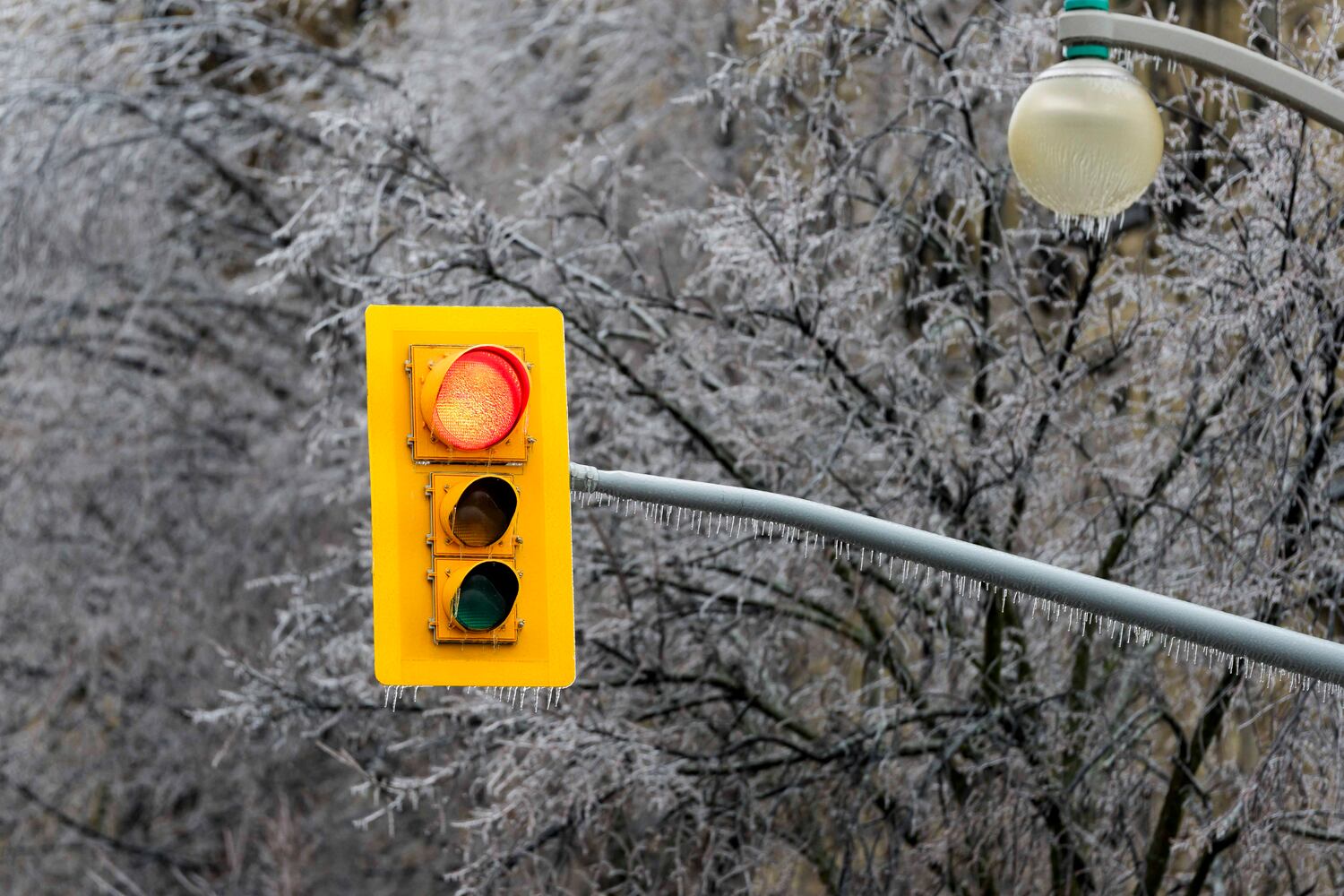 IN PHOTOS: Freezing rain in Ottawa – CTVNews